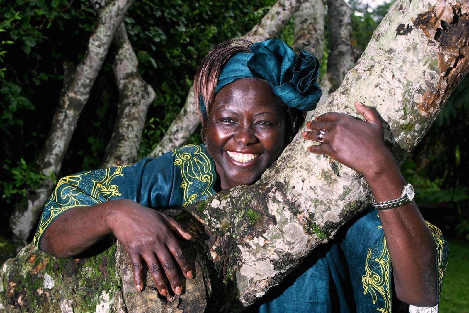 Wangari Maathai, une vie pour l'environnement et la démocratie | Paris ...